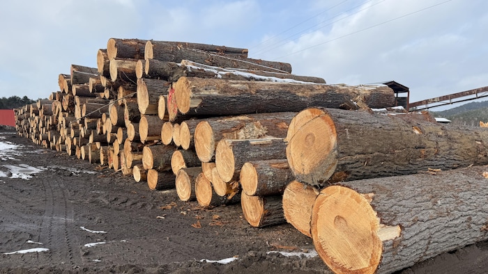 Fermeture de la scierie Résolu : un vent d’incertitude souffle sur ...