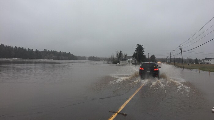 Le Nouveau-Brunswick mesure les dégâts des inondations | Radio-Canada
