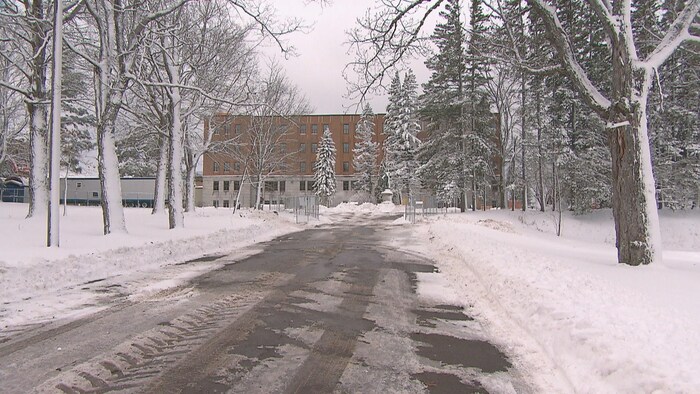 L'Institut de Memramcook se départit de ses oeuvres | Radio-Canada