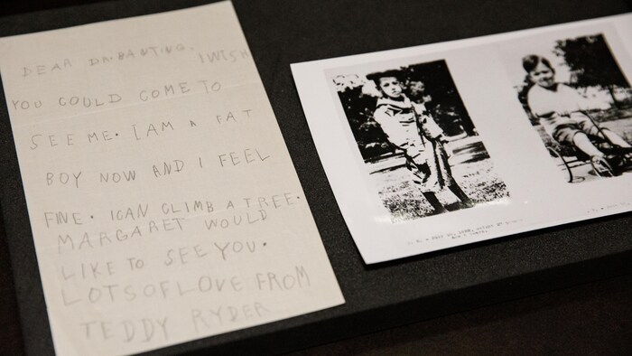 L’insuline, découverte vitale et bisbille créatrice : le 1er Nobel ...