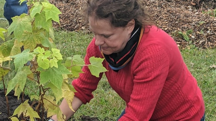 Jeunes et moins jeunes s’unissent pour embellir la cour d’école de ...