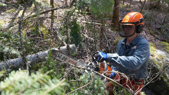Une implication depuis 20 ans pour la nature en Mauricie | Radio-Canada