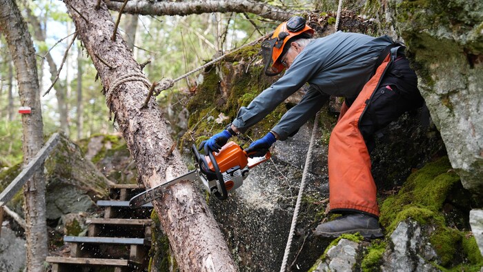 Une implication depuis 20 ans pour la nature en Mauricie | Radio-Canada