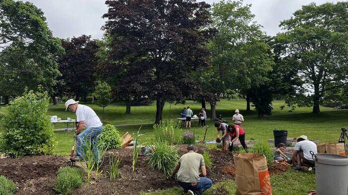 Jardiner en français grâce au Conseil communautaire du Grand Havre ...
