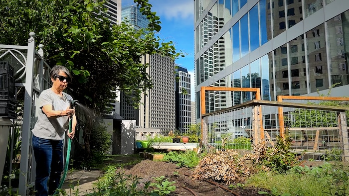 À PUBLIER SAMEDI 13 JUIN -- CORRIGÉ PM -- Un jardin sur le toit qui ...