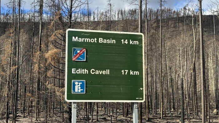 Les premiers touristes de retour à Jasper | Radio-Canada
