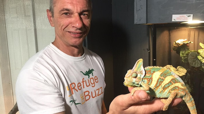 Un zoo consacré aux reptiles ouvre ses portes à Sherbrooke | Radio-Canada