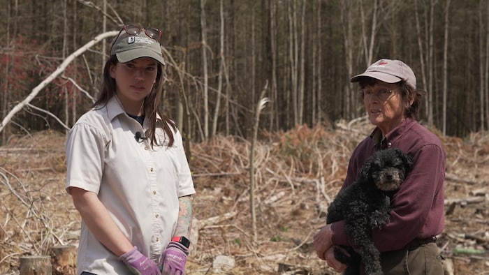 Créer des boisés plus résistants aux changements climatiques | Radio-Canada