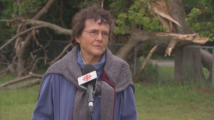 Tempête : encore beaucoup de dégâts dans les boisés de l’est ontarien ...