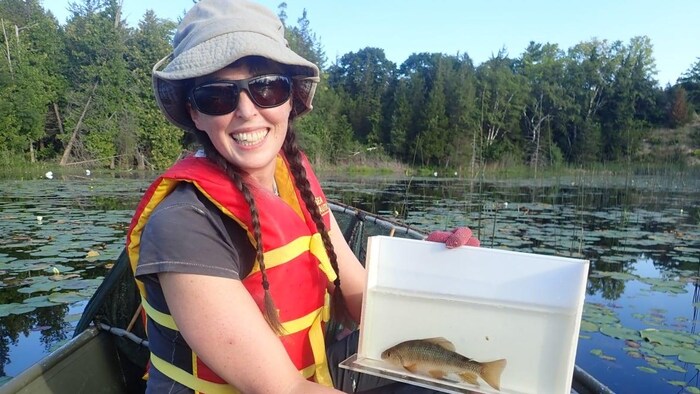 La cause de la mort des poissons de la rivière Ausable demeure un ...