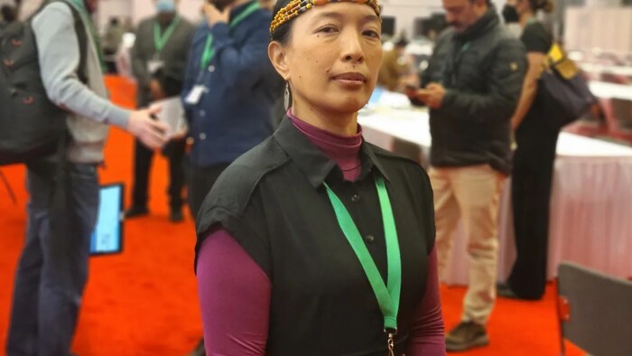 Indigenous people recognized as leaders at biodiversity summit, but not ...