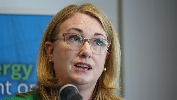 Muskrat Falls : les lignes de transport n’envoient toujours pas toute l ...