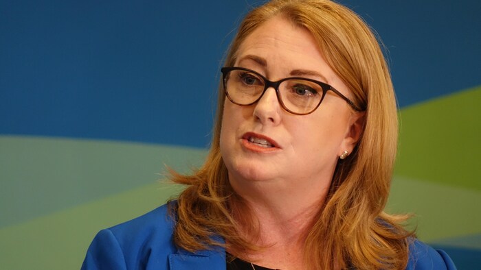 Les lignes de transport de Muskrat Falls en panne depuis une semaine ...