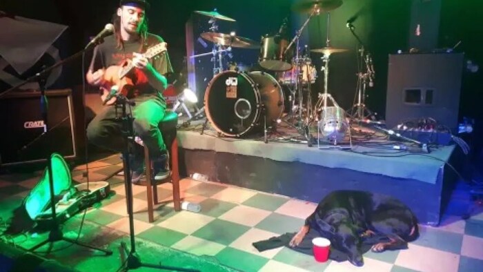 Un musicien et Youtubeur meurt d’une possible surdose dans les rues d ...