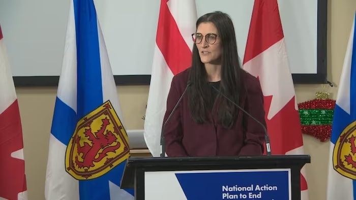 Ottawa accorde 18,3 M$ à la N.-É. pour contrer les violences basées sur ...
