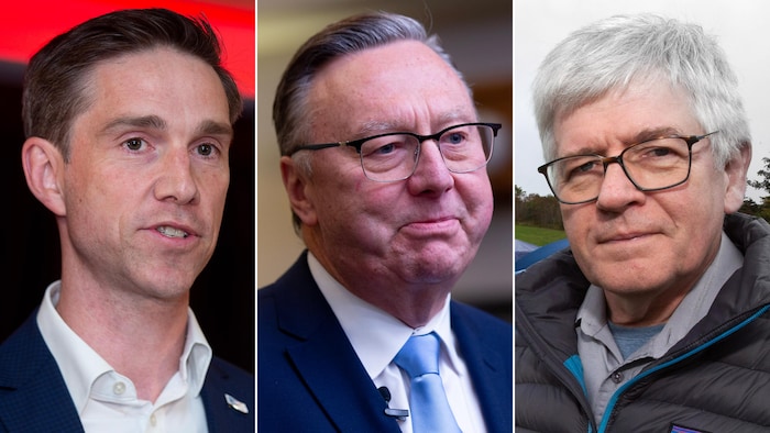 Dernière ligne droite de la campagne électorale à Terre-Neuve-et ...