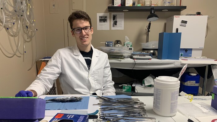 En attendant une aquaculture plus durable, le saumon est en crise dans ...