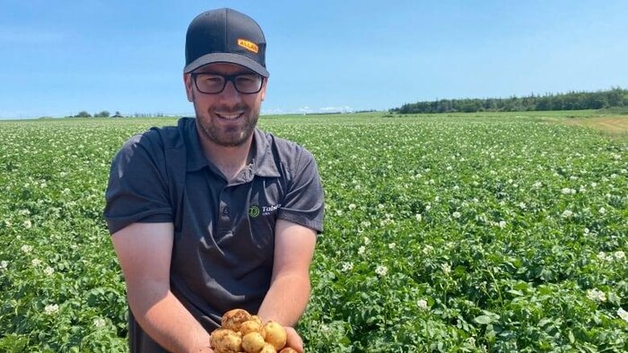 Les conditions sont excellentes pour la pomme de terre cet été à l’Î.-P ...