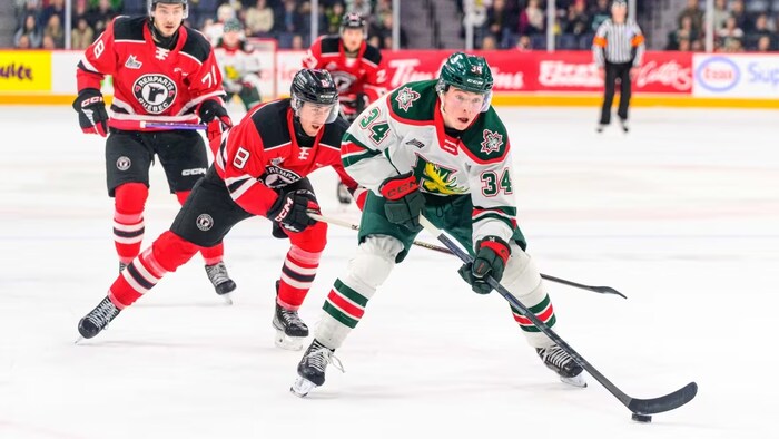 LHJMQ : Jordan Dumais fracasse le record de points chez les Mooseheads ...