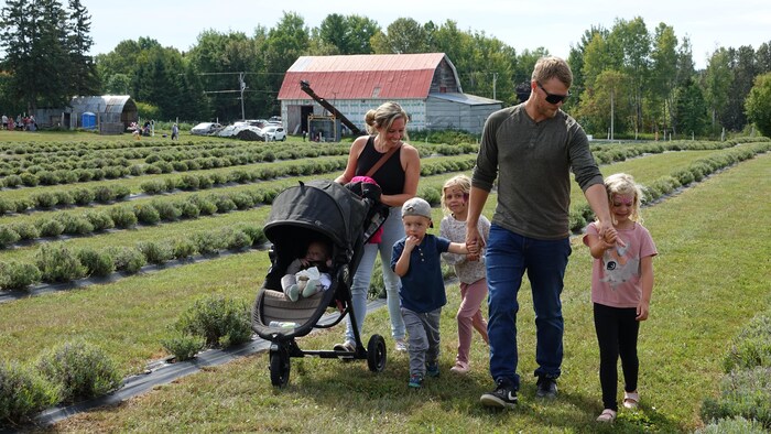 Des fermes de l’Est-du-Québec ouvrent leurs portes | Radio-Canada