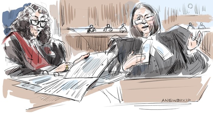 Procès des hockeyeurs : la théorie de la défense « n’a pas de sens ...