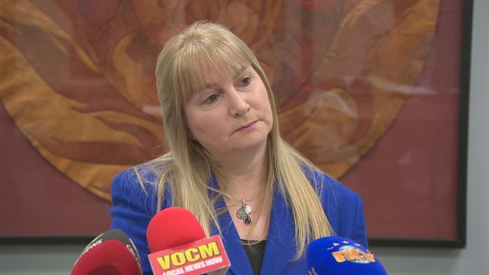 Rapport accablant sur l’alimentation et le transport scolaire à T.-N.-L ...