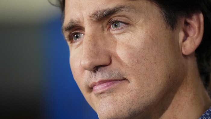 Justin Trudeau devrait être plus « vrai », dit un député libéral ...