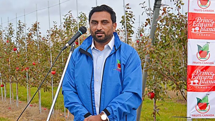 Once-celebrated P.E.I. apple orchard faces no sanctions despite foreign ...