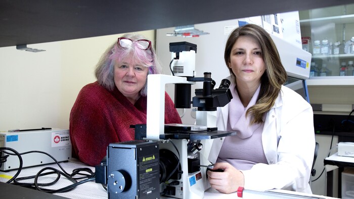 Une chercheuse veut exorciser «la malédiction de Terre-Neuve», qui peut ...