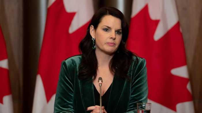 Conservative MP attacked online after praising police for arrest in ...