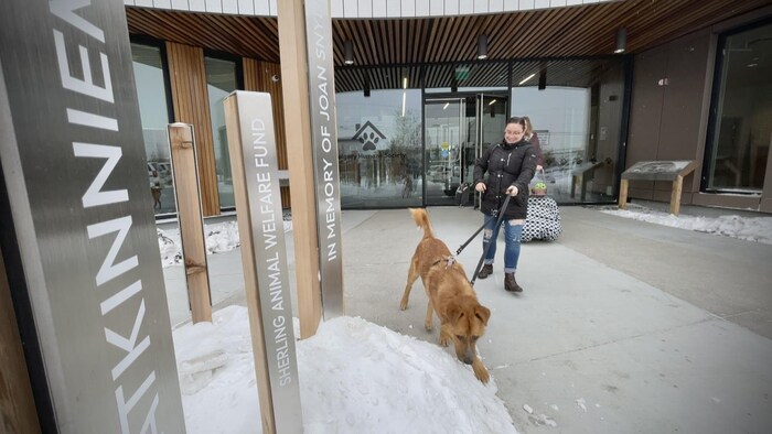 Une période des Fêtes pas comme les autres pour les animaux d’un refuge ...