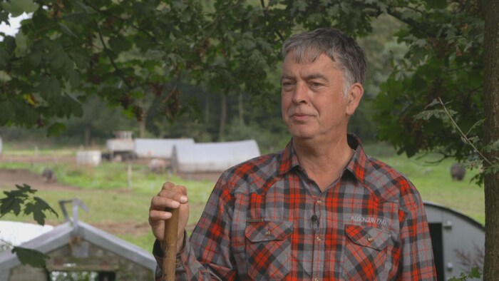 Aux Pays-Bas, une toilette pour les cochons | Radio-Canada