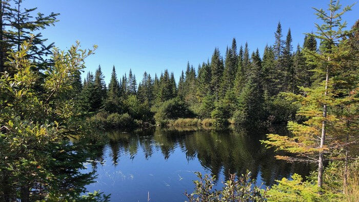 Première analyse d'une importante source d'eau de Québec | Radio-Canada