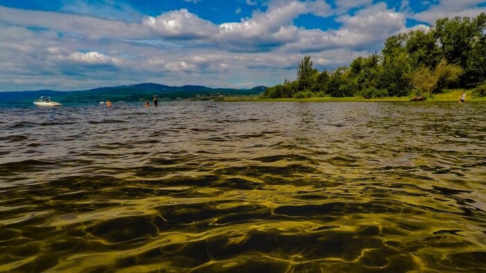 Coastal GasLink a reçu plus de 50 avertissements pour violations ...