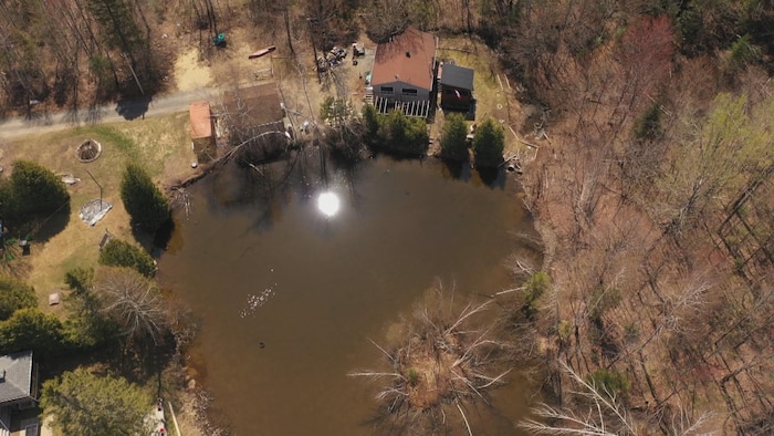 La terre à bois qui divise | Radio-Canada