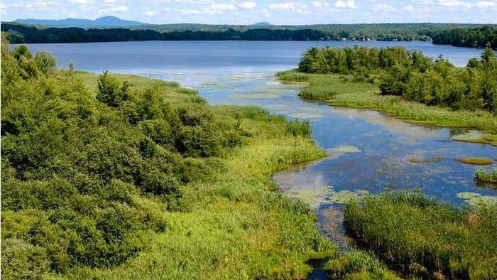 Des quartz pour nettoyer le lac Waterloo | Radio-Canada
