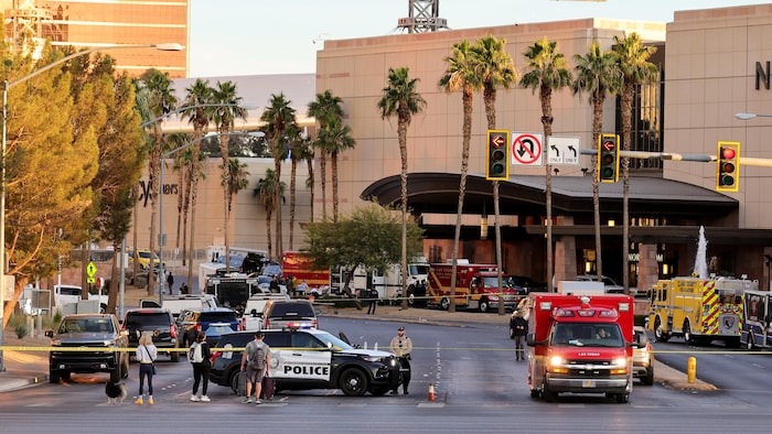 Explosion d’une camionnette Tesla à Las Vegas : le suspect était un ...
