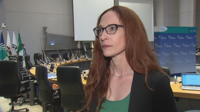 La Ville d’Ottawa refuse de suspendre sa publicité sur Meta | Radio-Canada