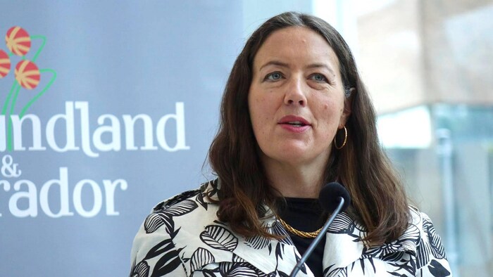 Captage du carbone : une occasion en or pour T.-N.-L., selon Furey | Radio-Canada