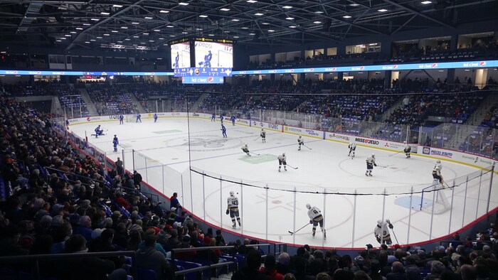Les Lions de Trois-Rivières à la conquête de nouveaux publics | Radio ...