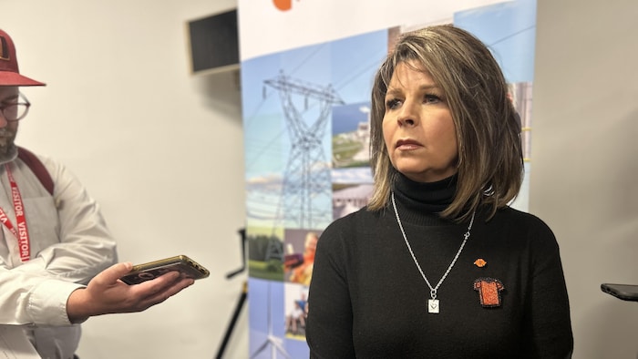 Énergie NB veut augmenter ses tarifs de 4,75 % en avril | Radio-Canada