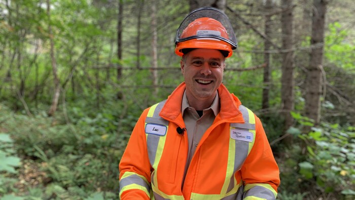 Industrie forestière : la lutte permanente contre la tordeuse des ...