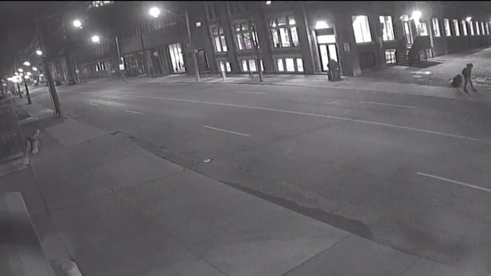 Vidéos incriminantes au procès de Dallas Ly, accusé du meurtre de sa ...