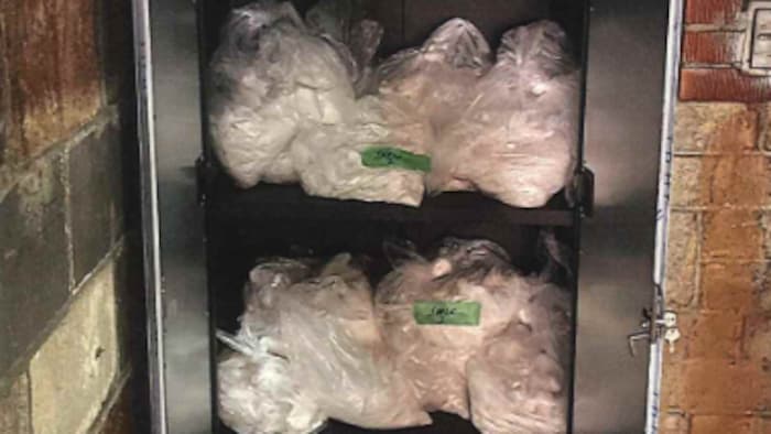 Opération policière Zafiro : 13 et 6,5 ans de prison contre deux ...