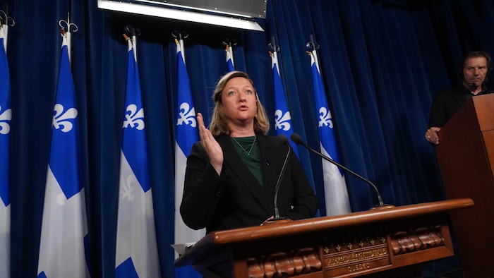 Stablex : Québec solidaire soupçonne la CAQ de vouloir utiliser le ...