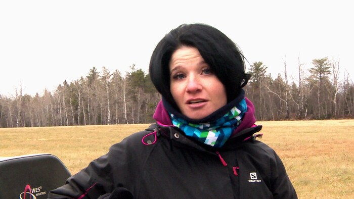 Déforestation dans la Péninsule : des manifestants veulent freiner la ...