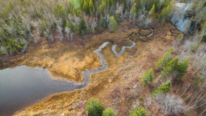 L’Î.-P.-É. souhaite protéger 7 % de ses terres d’ici 2030 | Radio-Canada