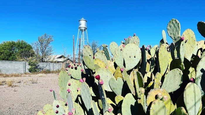 Marfa, oasis de création pour les artistes | Radio-Canada