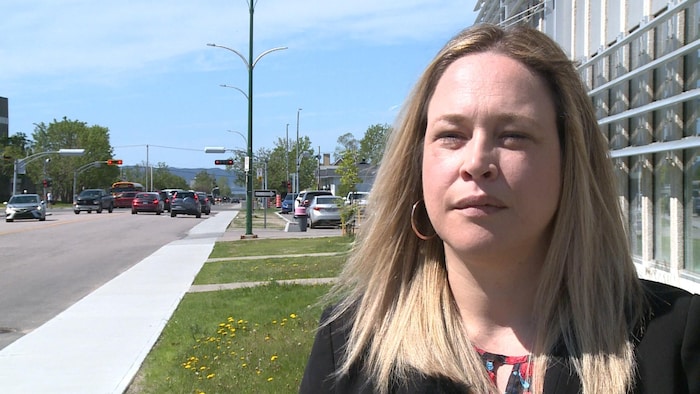 Côte-Nord : Hydro-Québec abat des arbres sur 205 km pour protéger son ...