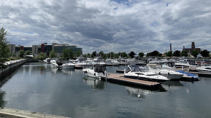 Baignade au bassin Louise : le Port de Québec rencontrera les ...